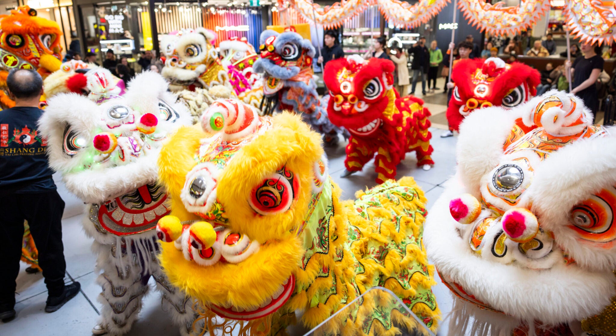 Lunar New Year 2026 | Kingsway Mall
